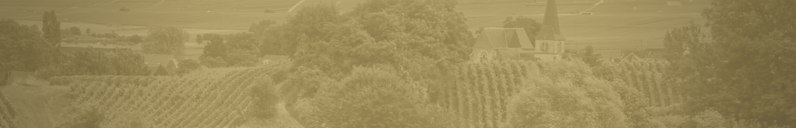 Autour du domaine - Domaine de Prin